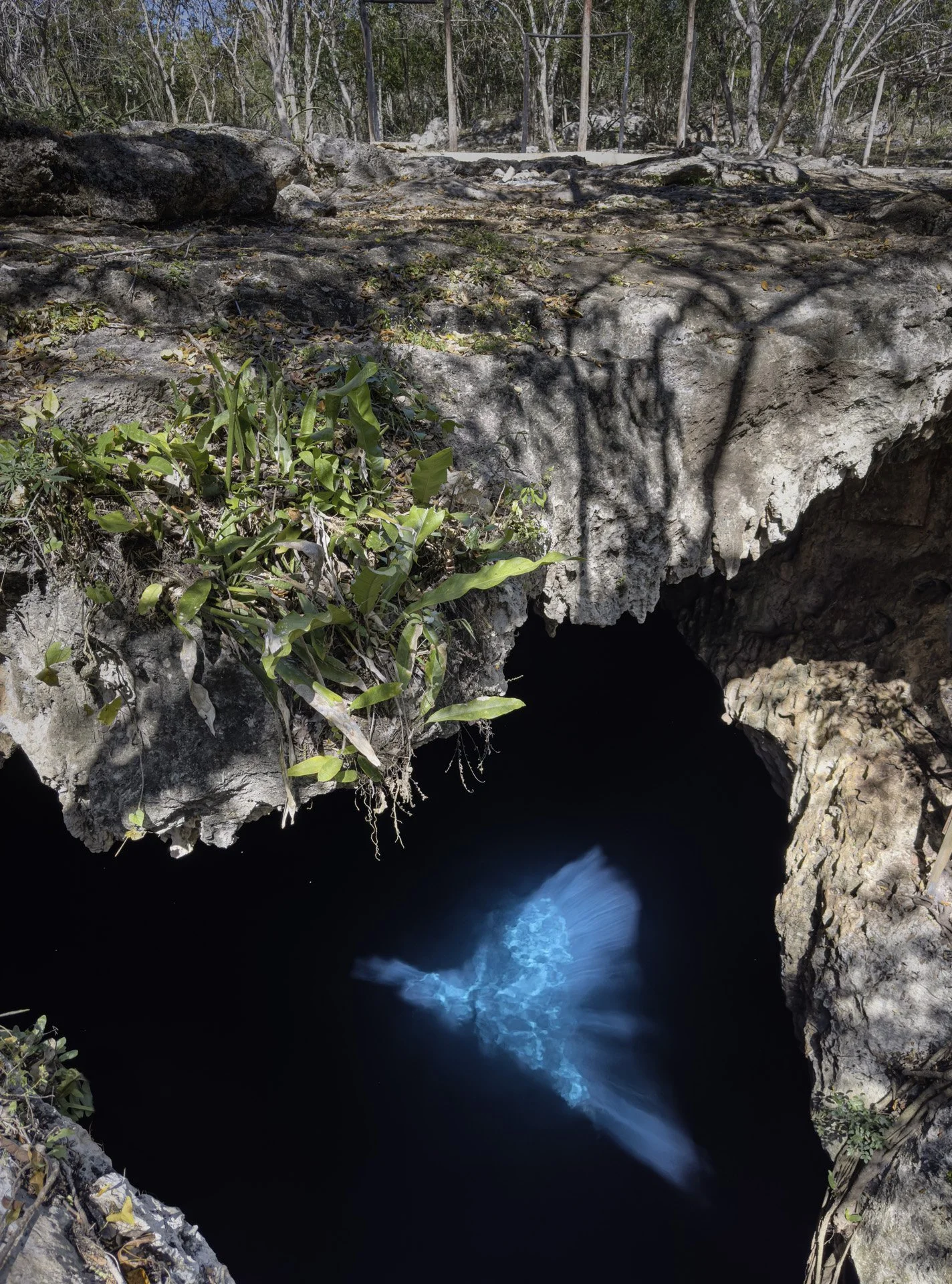 Cenote Light — Jeff Schneiderman Photography