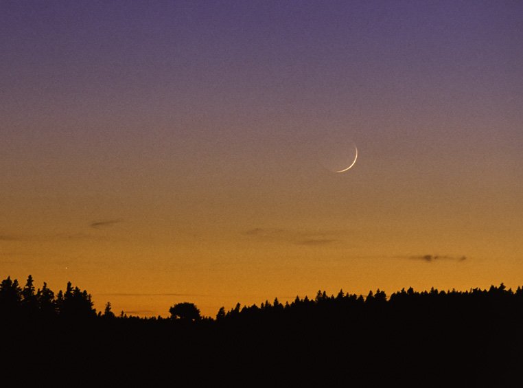 Astro — Jeff Schneiderman Photography