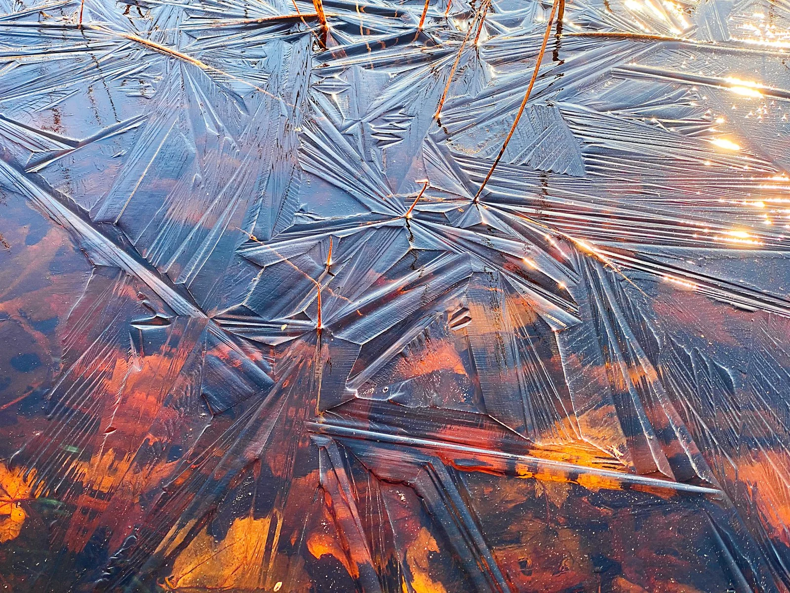 First Ice — Jeff Schneiderman Photography