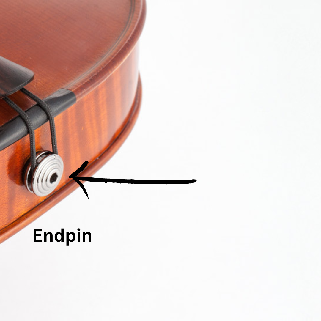 What size violin do I need? — Suzuki Violin Lessons