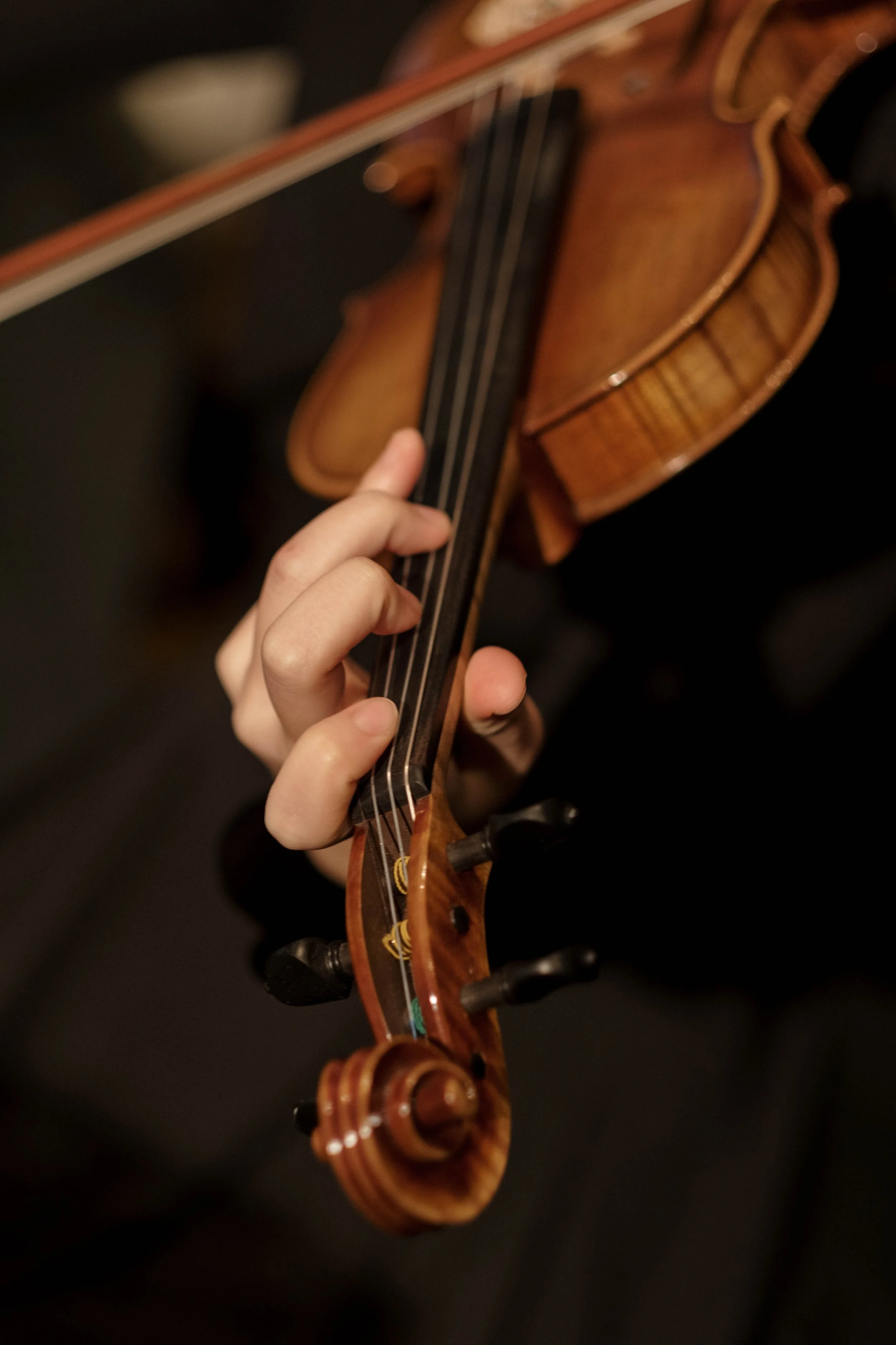 Adult Violin Lessons - New Jersey | Meghan Faw