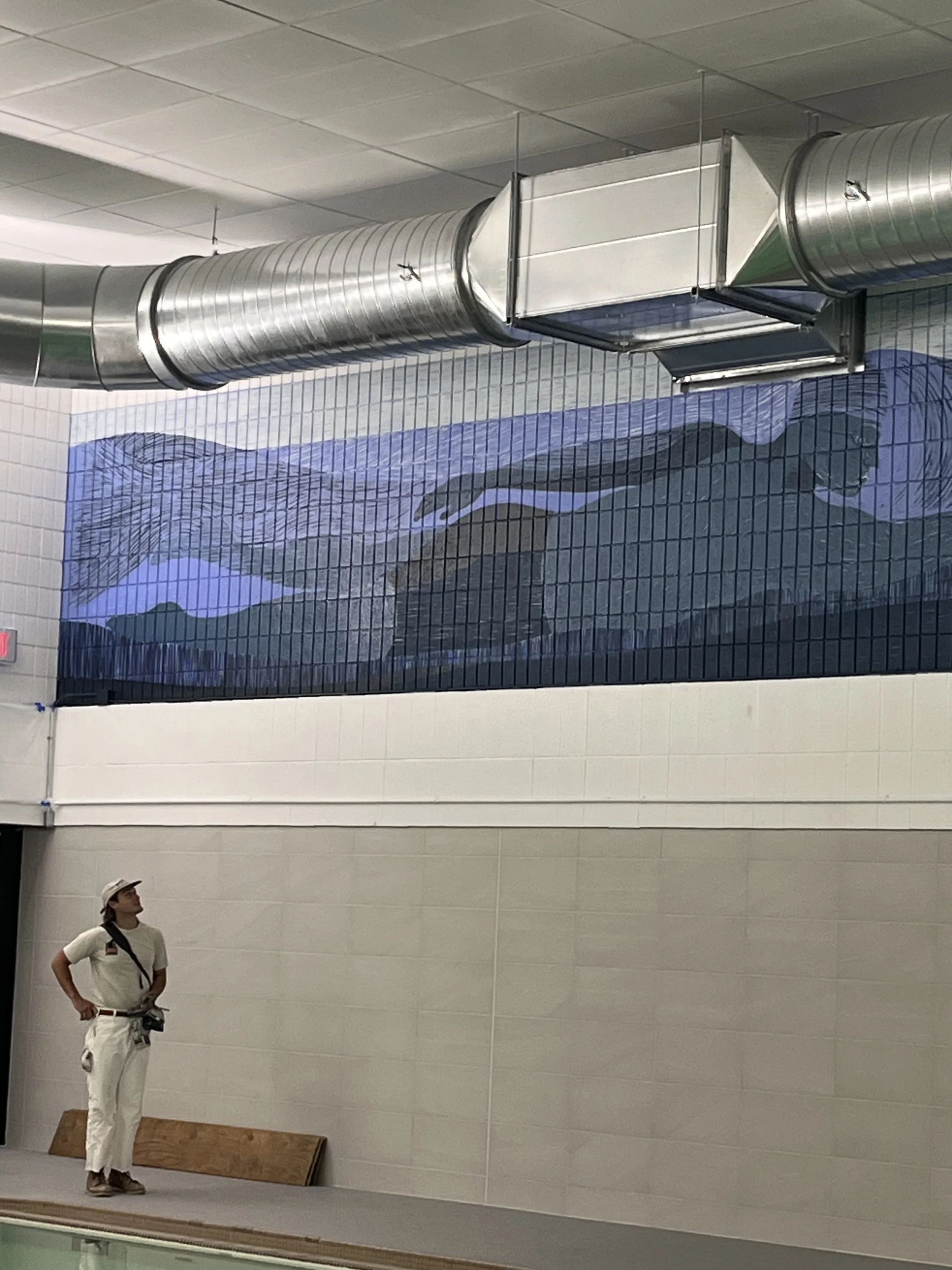 Aquatics Center & Swim Lessons in Muskegon, MI | Neal Fitness Center ...
