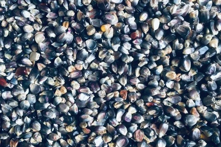 Store — Deep Roots Milling