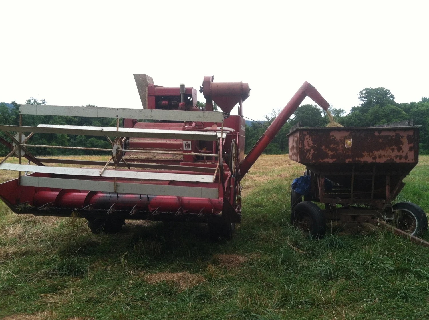 Hanging Rock Farm — Deep Roots Milling