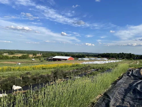About — Moon Valley Farm