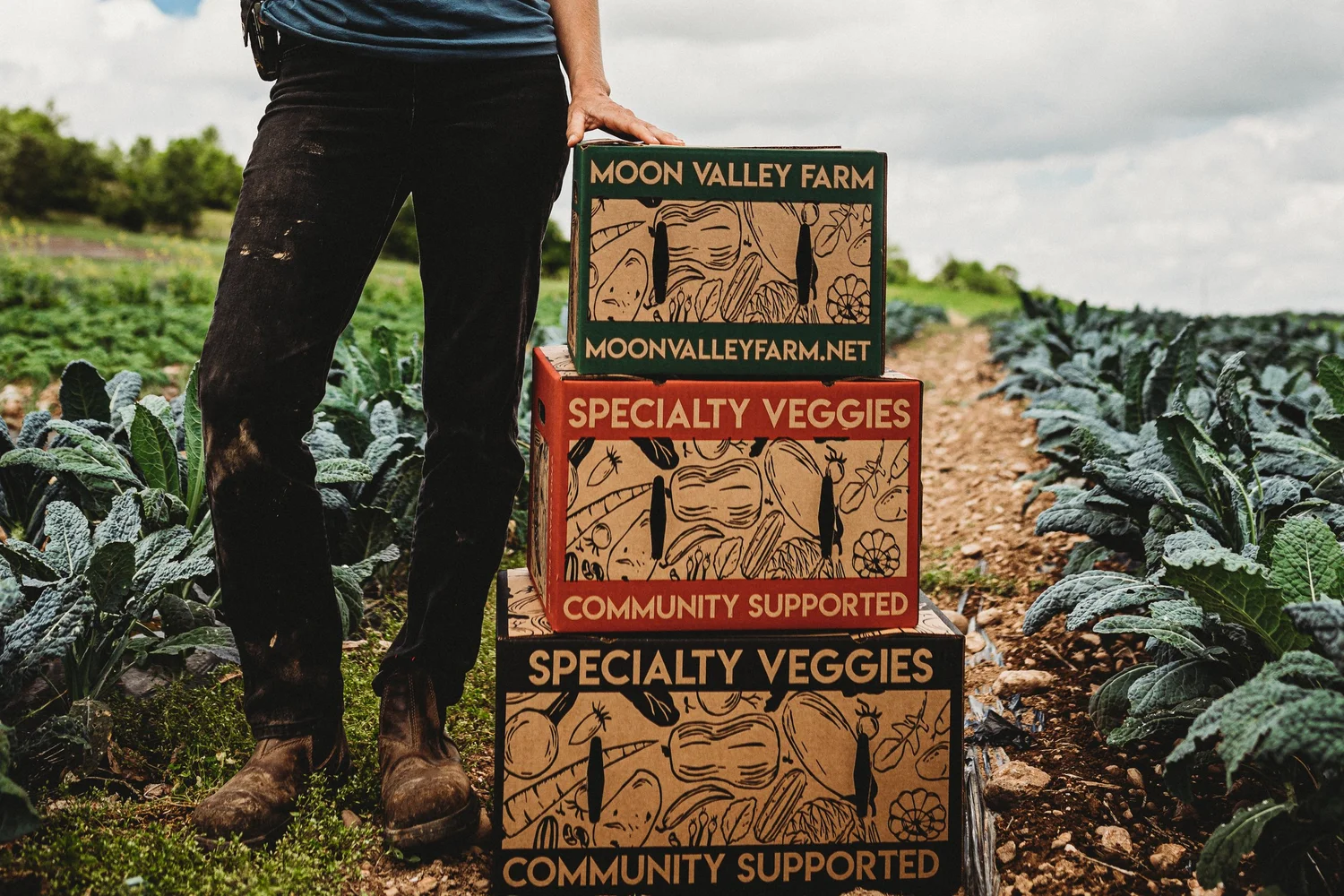 CSA — Moon Valley Farm