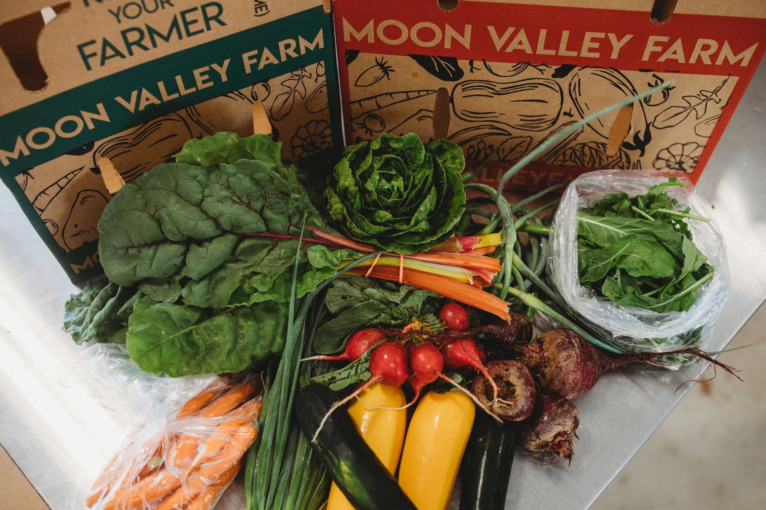 CSA — Moon Valley Farm