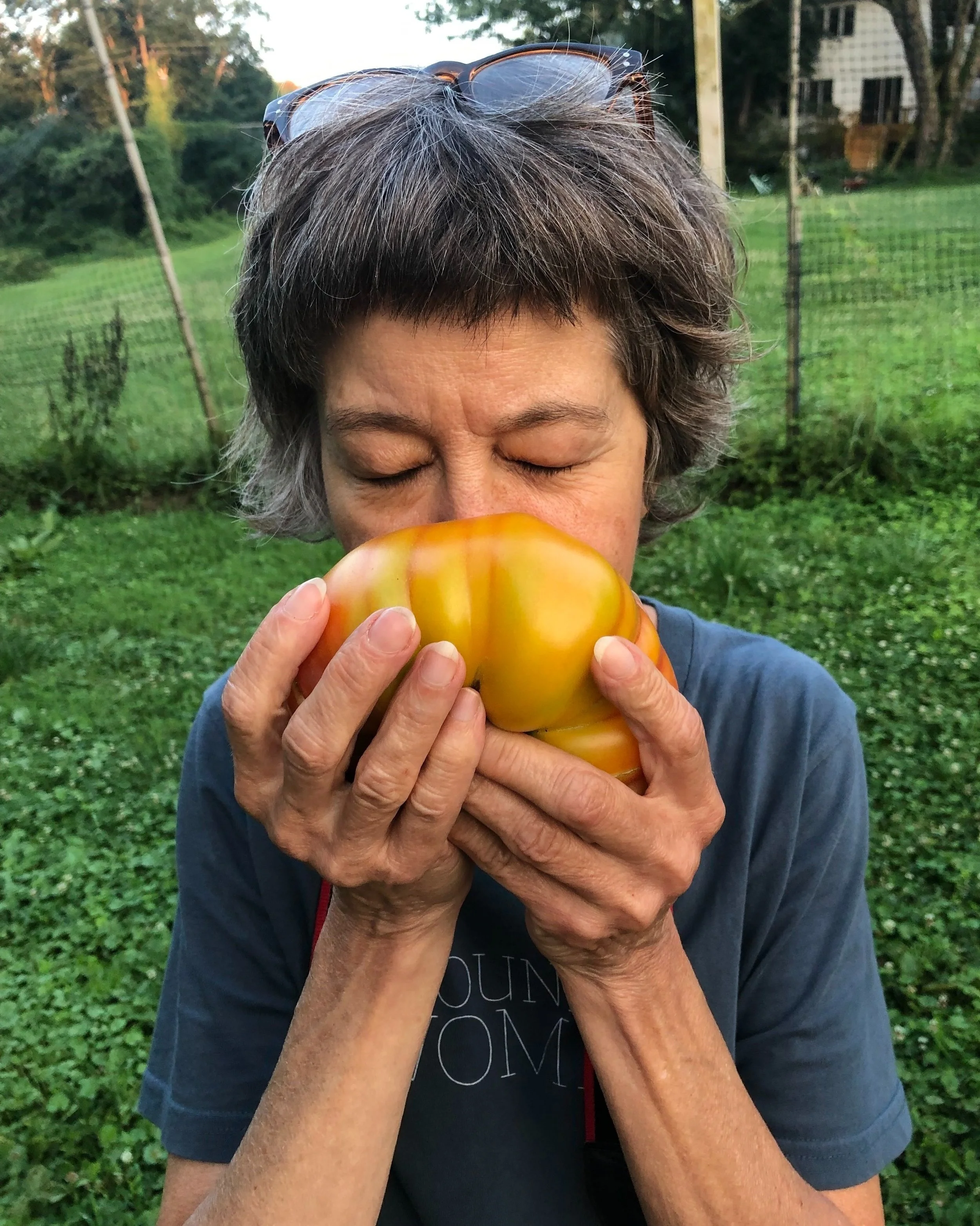 Interview with Lise Metzger - Falls Church Pick Up Host — Moon Valley Farm