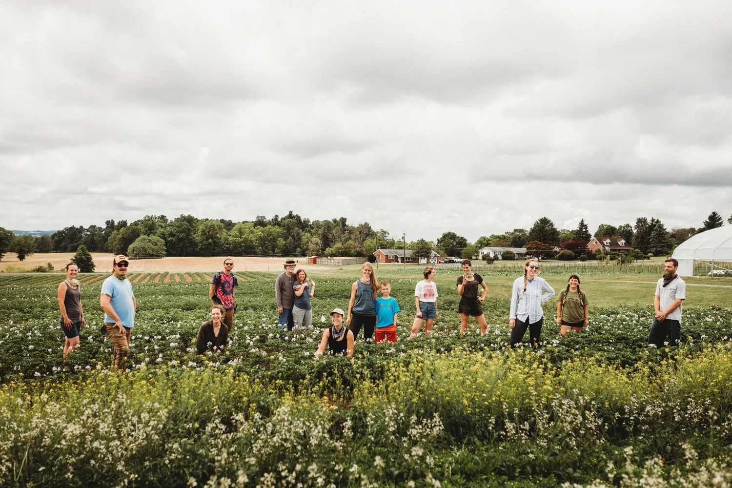 Farming Practices — Moon Valley Farm