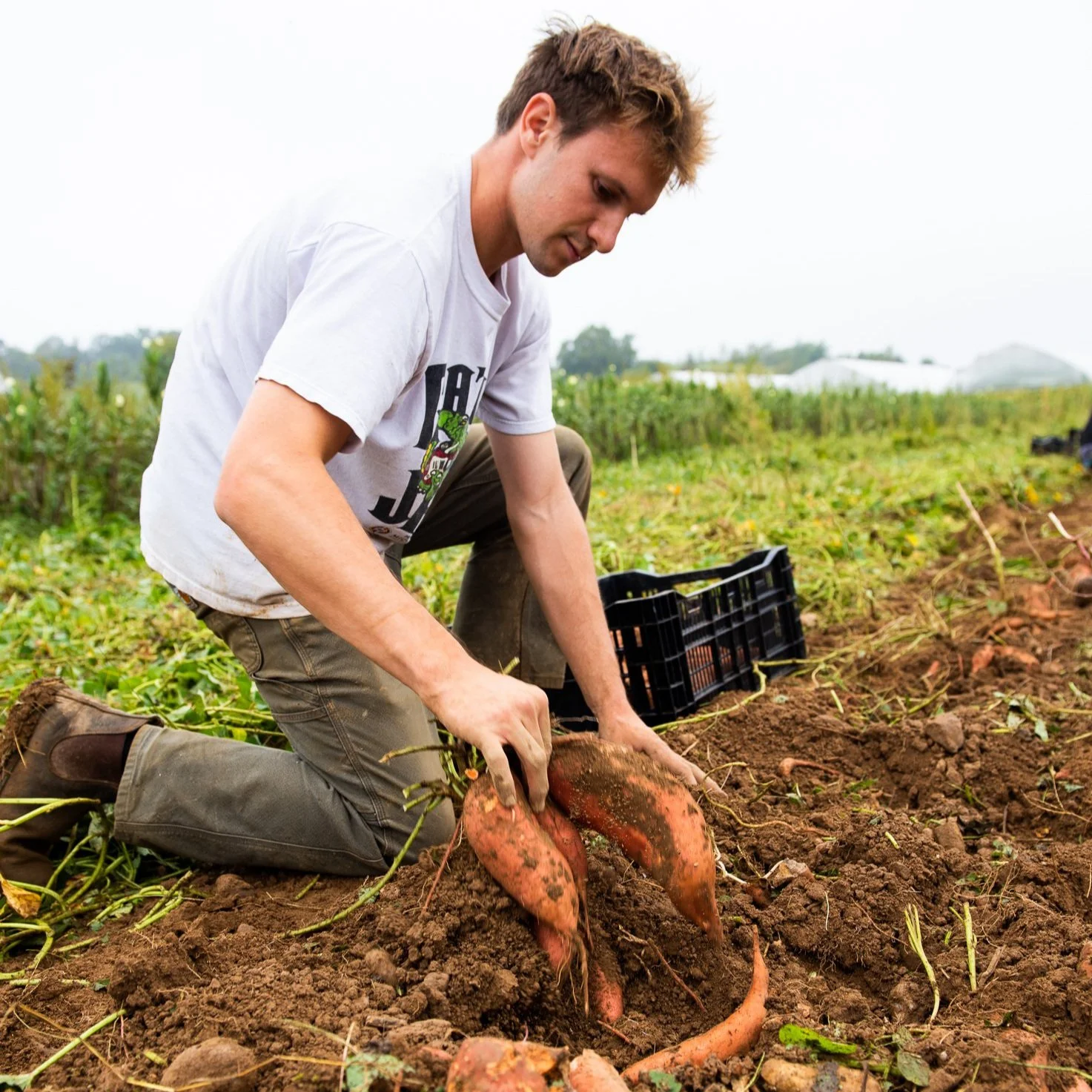 Our Team — Moon Valley Farm