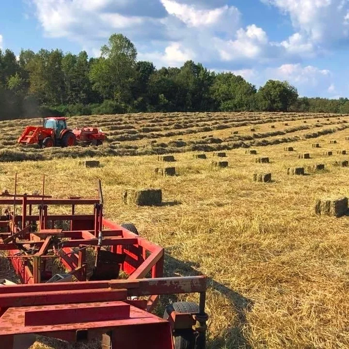Circle L Farms | Grass Fed, Grain Finished Beef | Pasture Raised