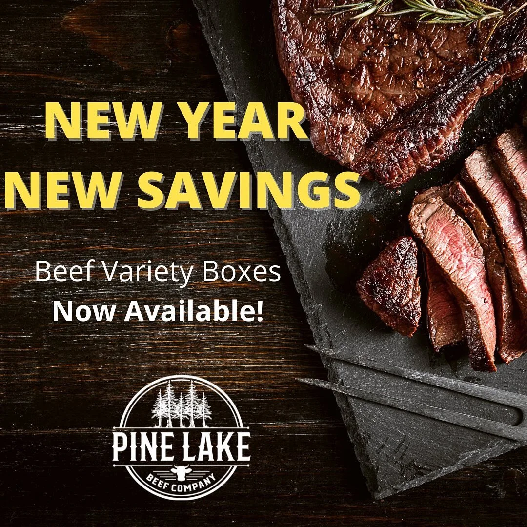 Pine Lake Beef Company | Homegrown Beef | Grass-Fed & Grain-Finished