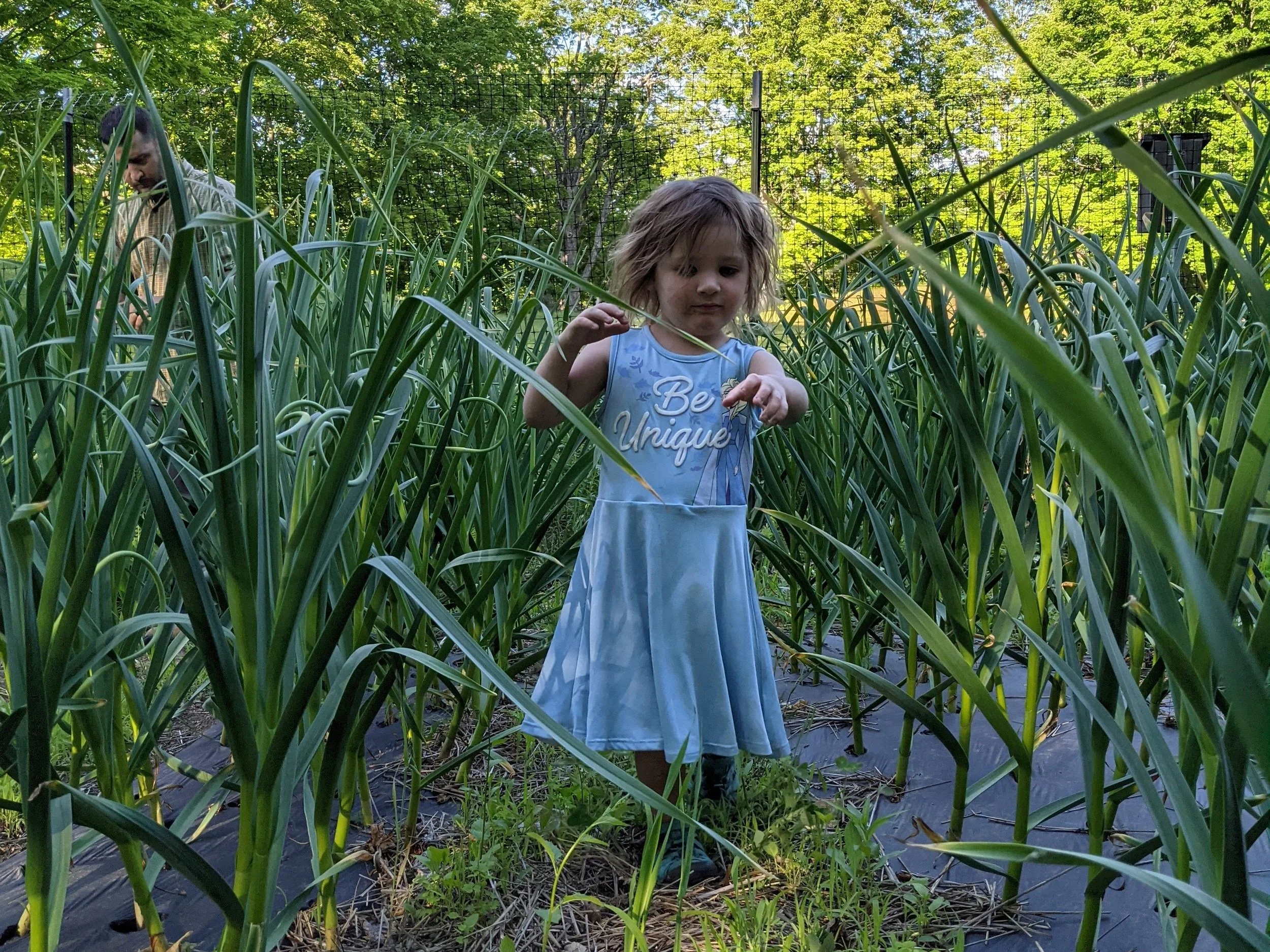 JessiWayne Farm | Sustainably Grown Produce & Flowers | Handcrafted Hot ...