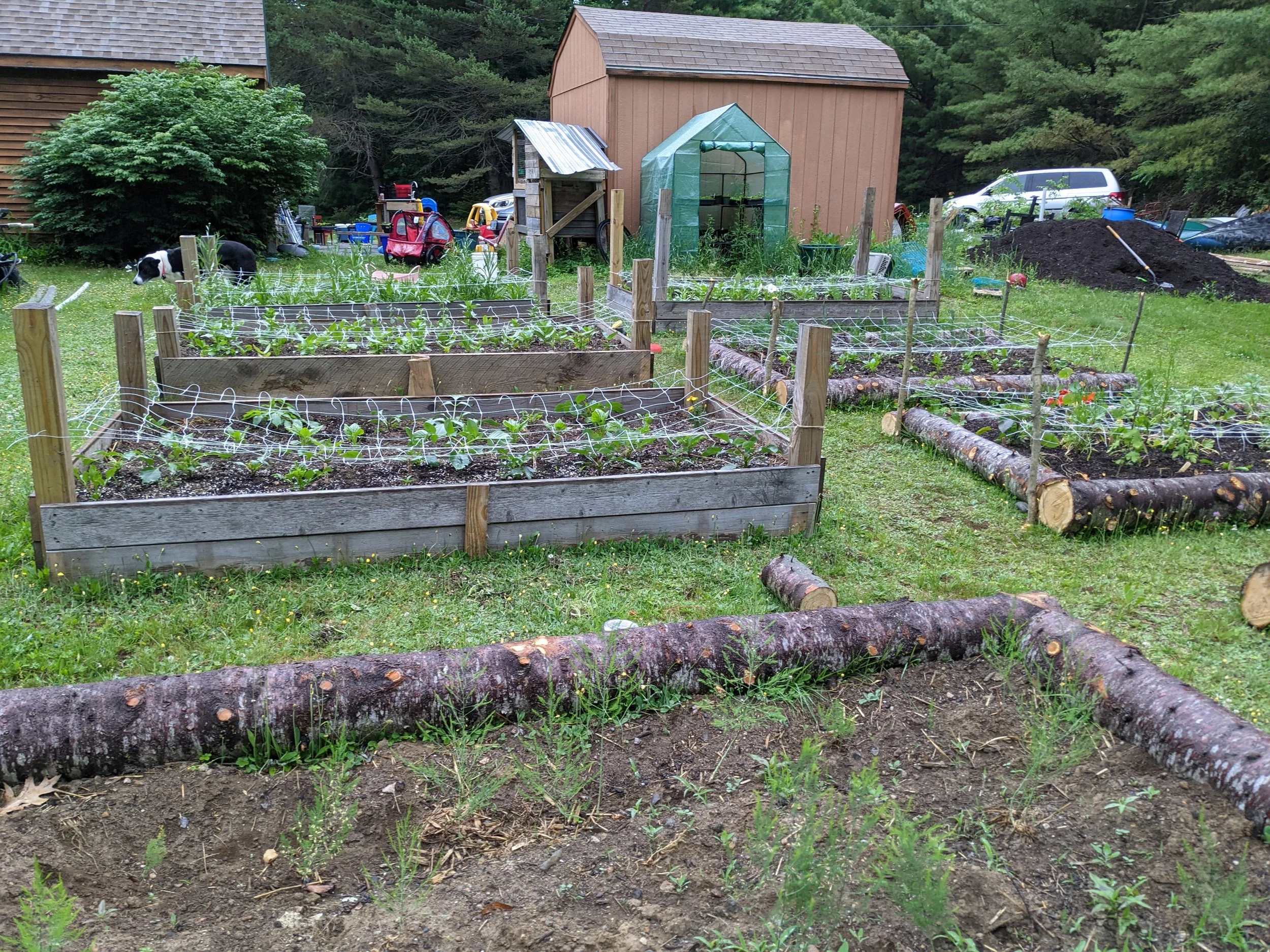 JessiWayne Farm | Sustainably Grown Produce & Flowers | Handcrafted Hot ...