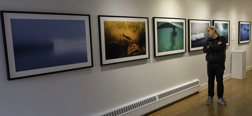 About 3 — Bill Curtsinger