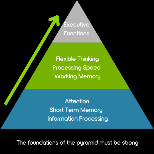 Switched-On Kids Cognition