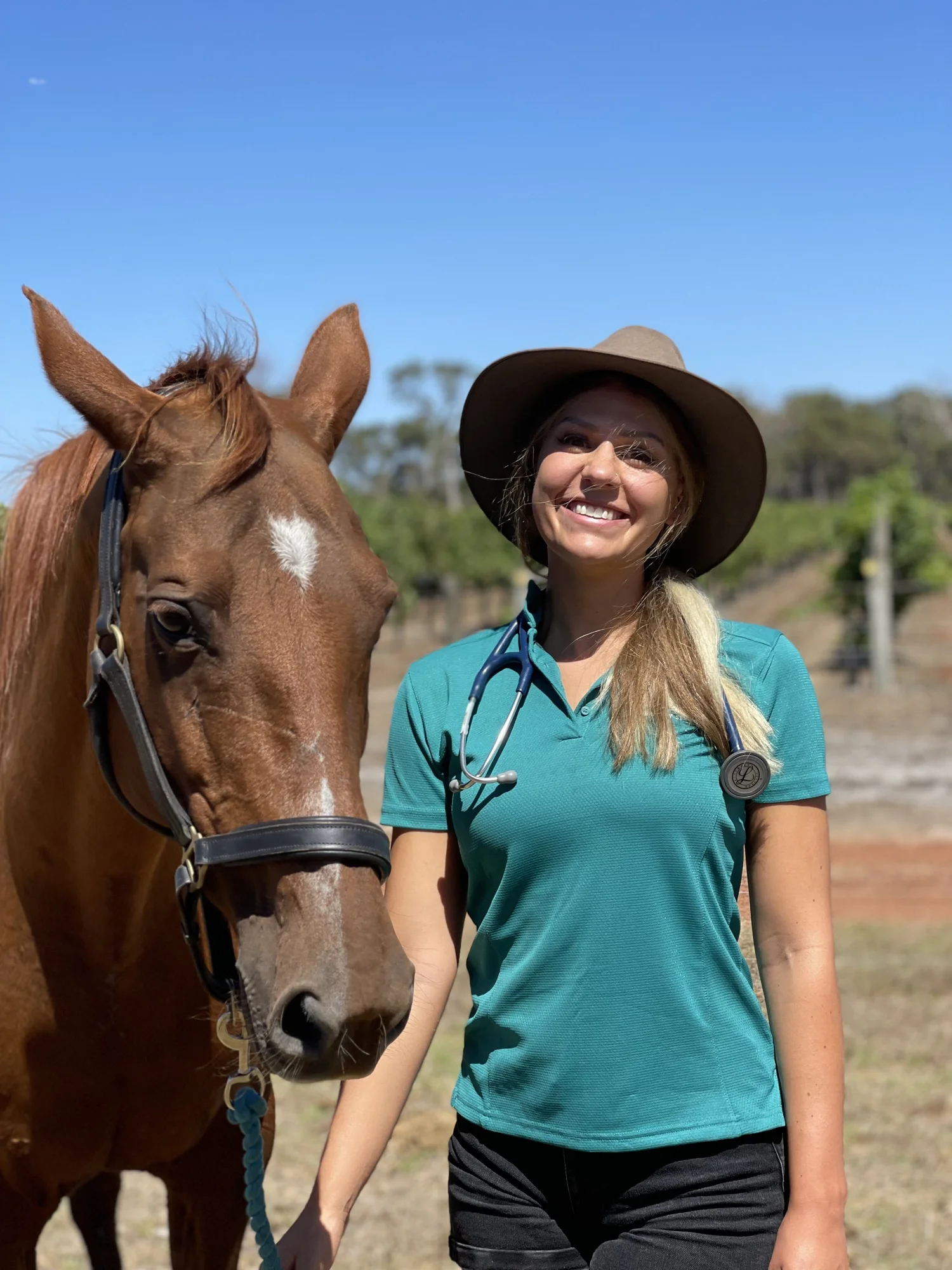 About Us - Mobile Equine Veterinarian in South West, WA | Cape Equine ...