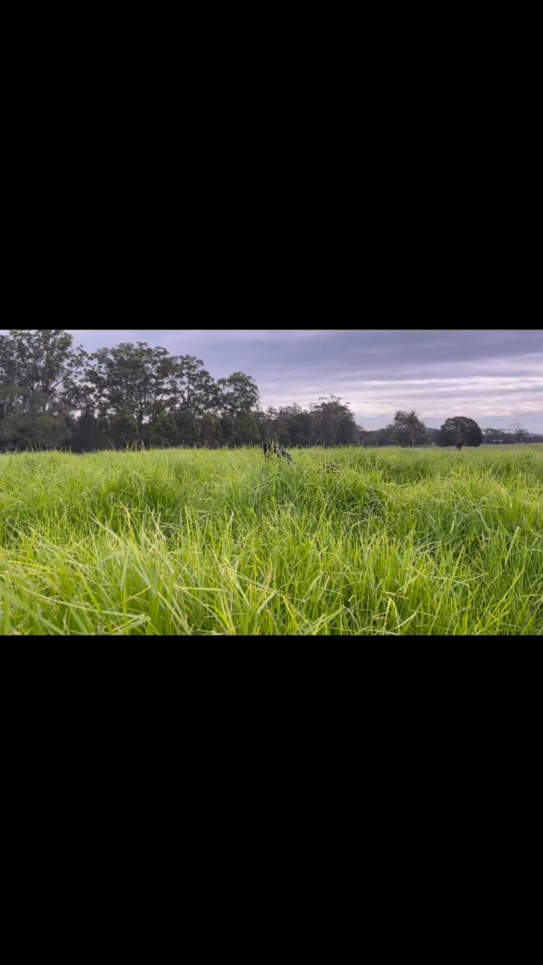 Recent Work — Joshua Gilbert