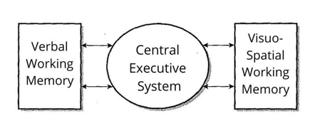 Understanding Working Memory — RocketEd