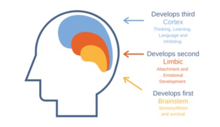 Trauma Informed Practice: from the bottom up — RocketEd