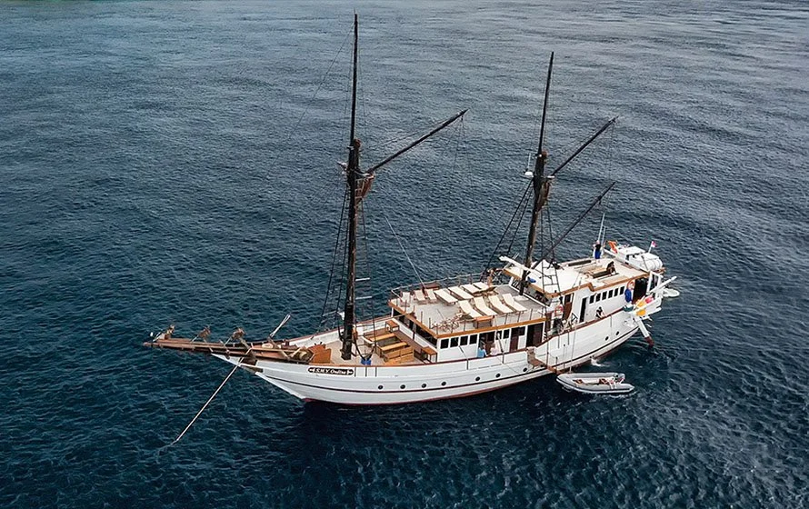 Scuba Diving Liveaboards Indonesia | Liveaboard it | World Class ...