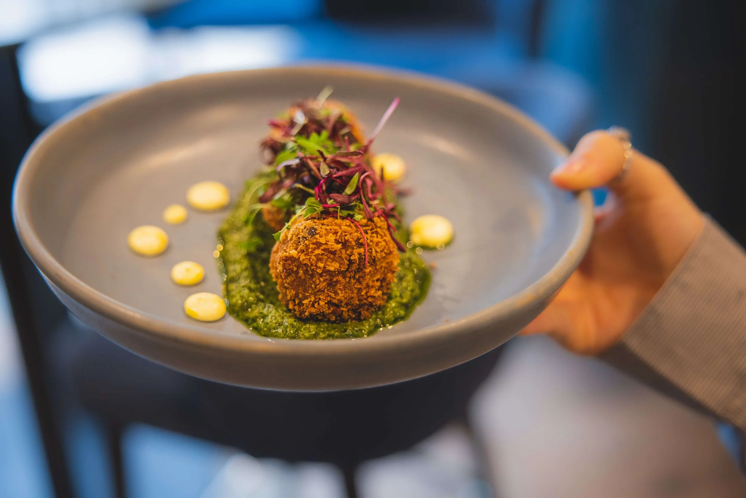 Tatton House — Influence Media: Creative Marketing Agency | Hull | UK