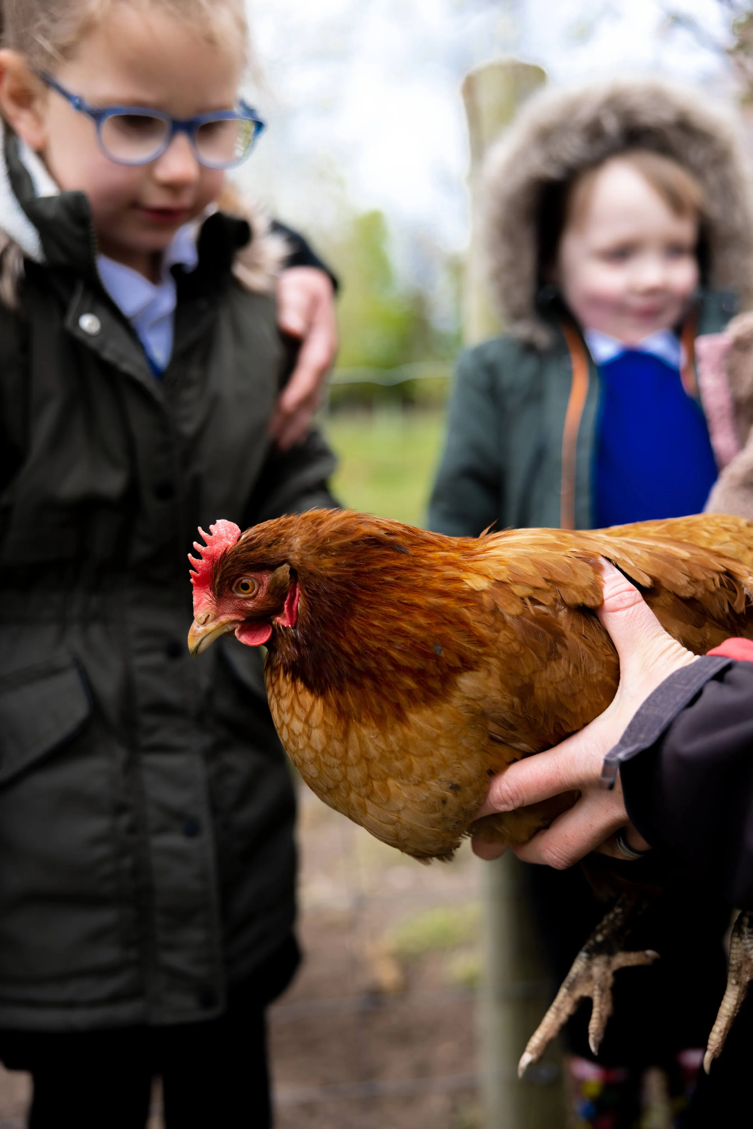 Hull & East Yorkshire Children's University — Influence media