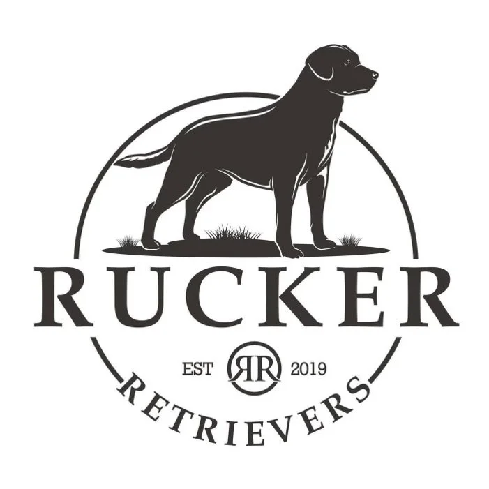 Rucker Dog Training