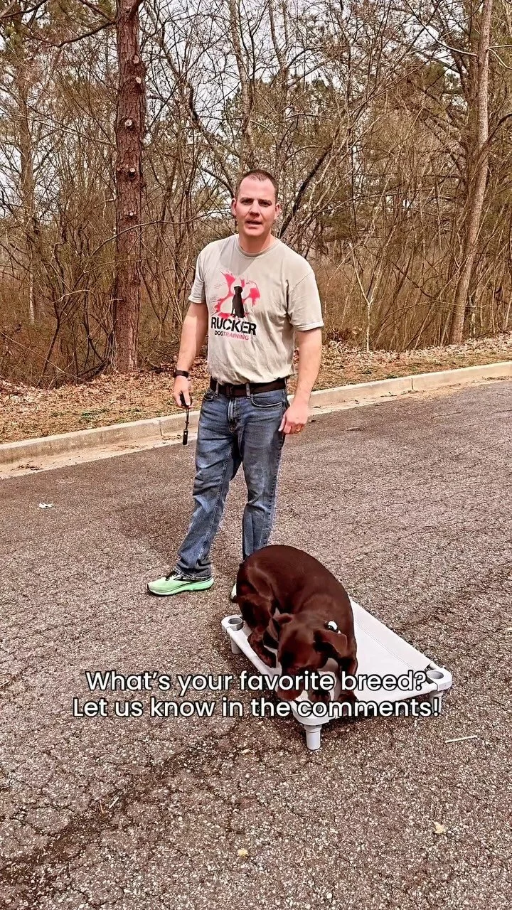 FAQ — Rucker Dog Training