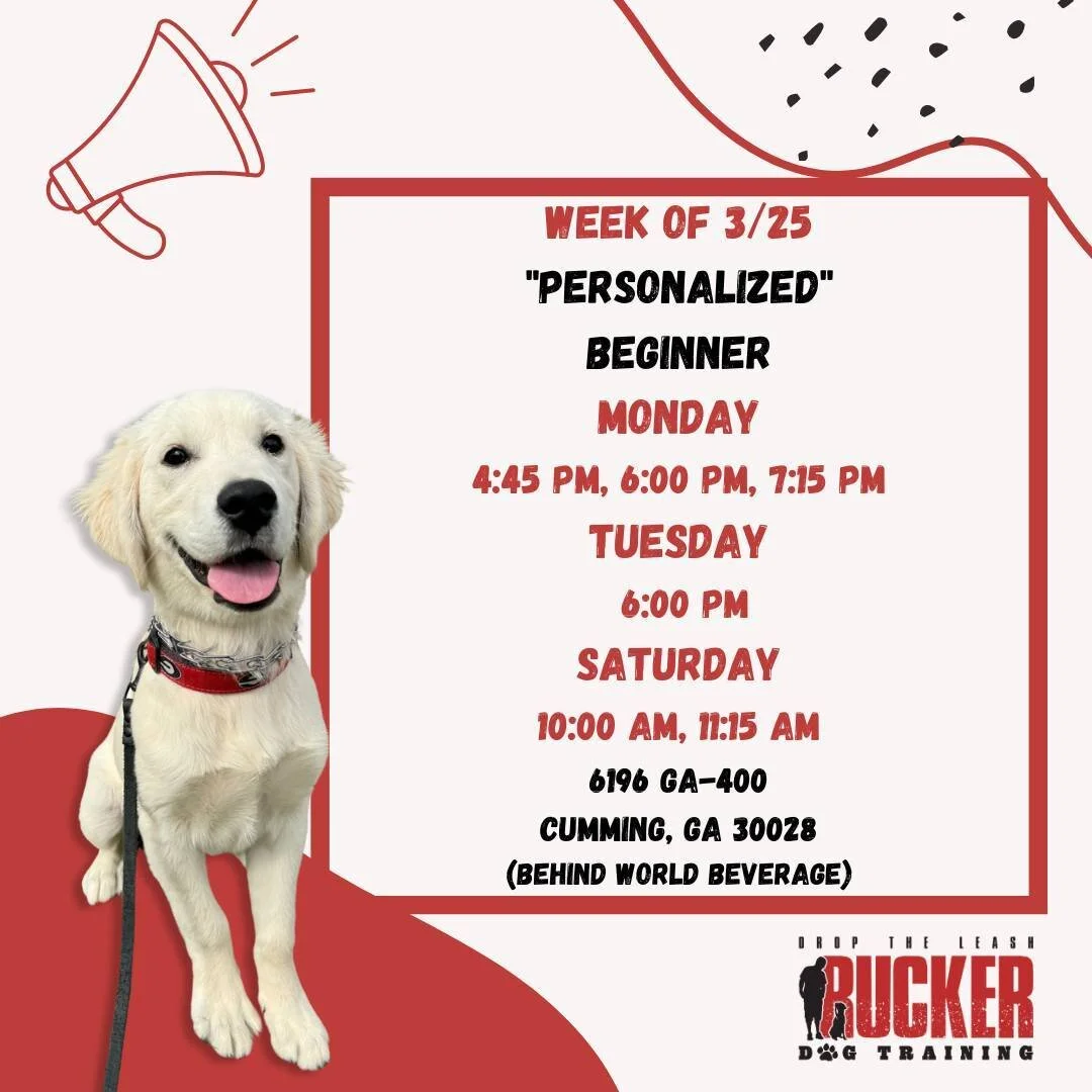 Book A Class — Rucker Dog Training