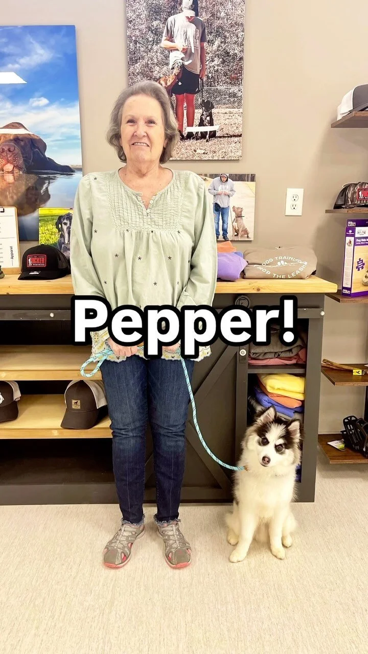 Board + Review — Rucker Dog Training