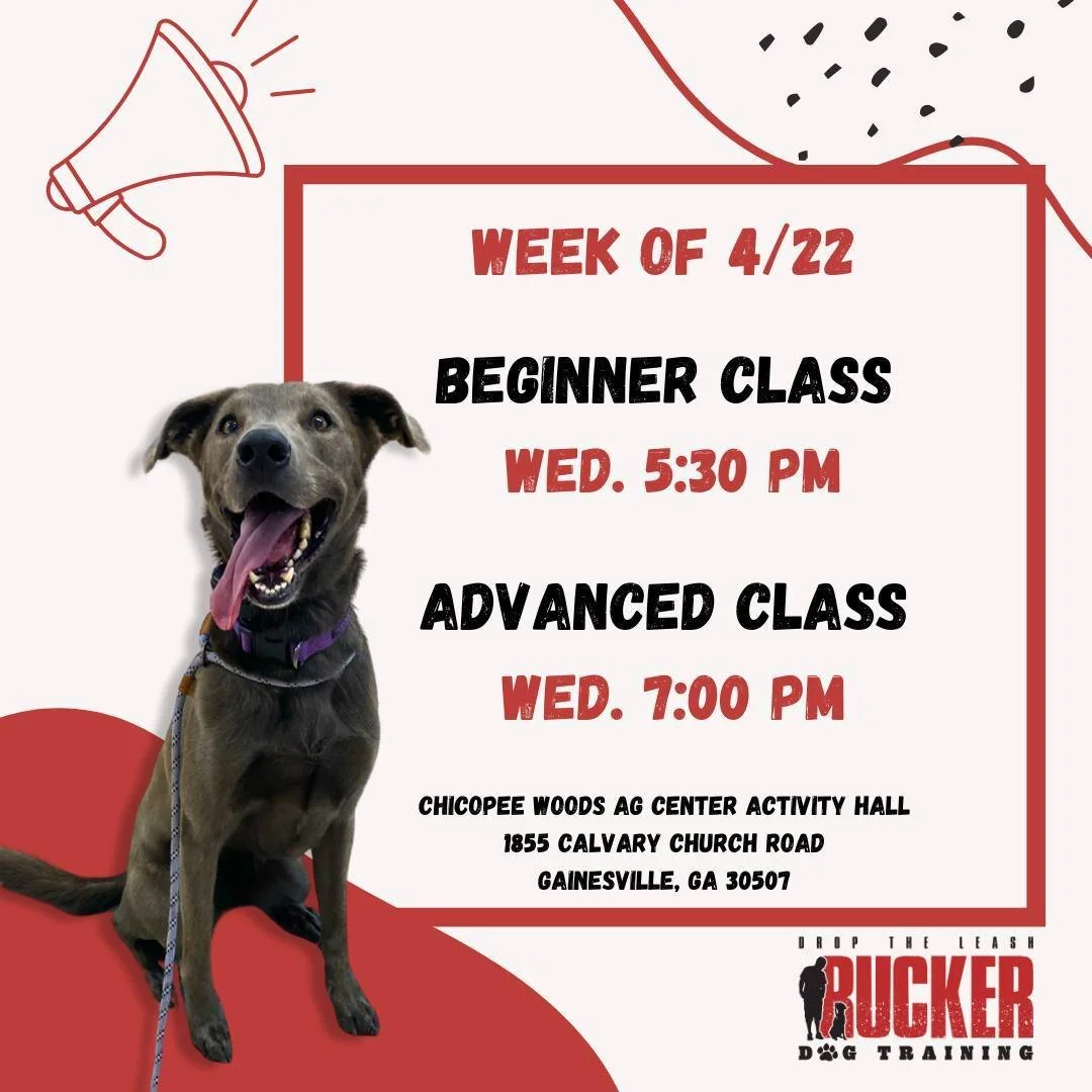 General Boarding — Rucker Dog Training