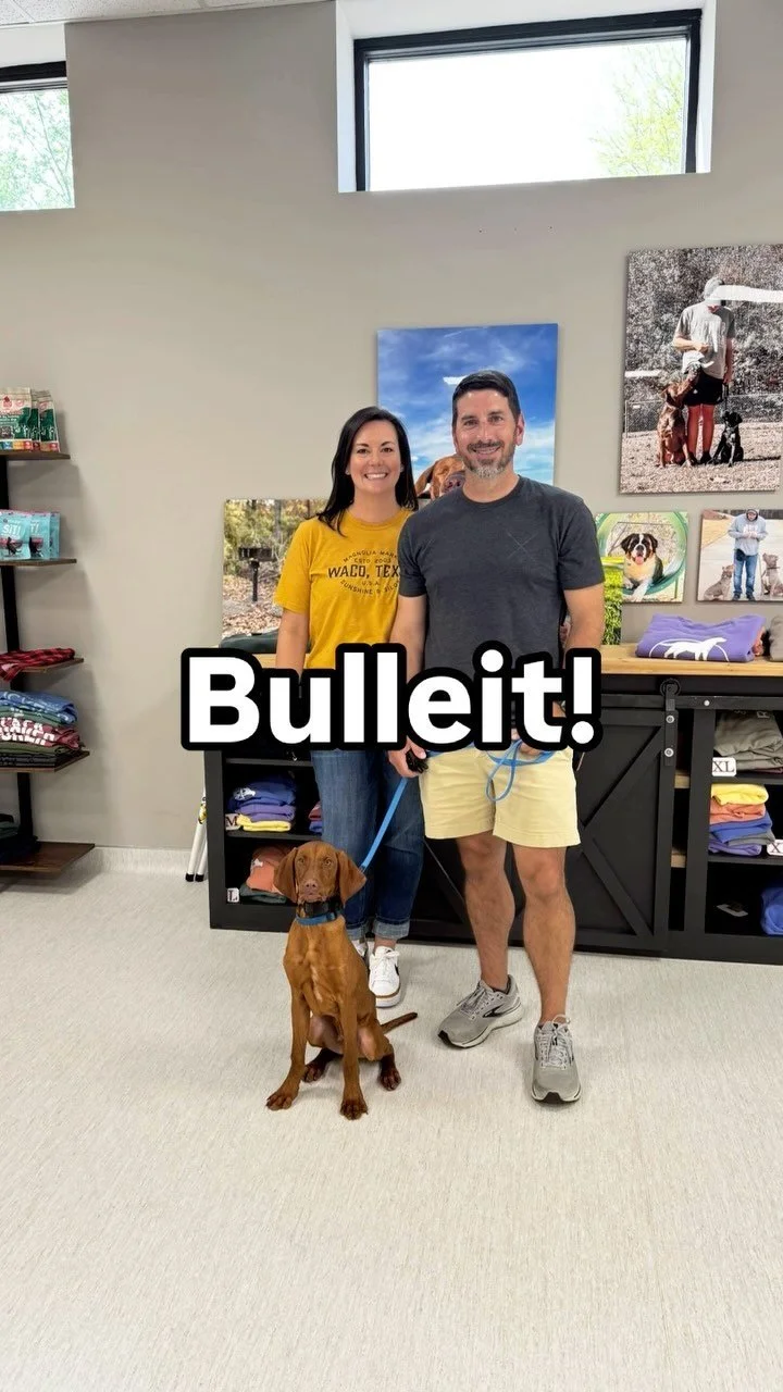 General Boarding — Rucker Dog Training