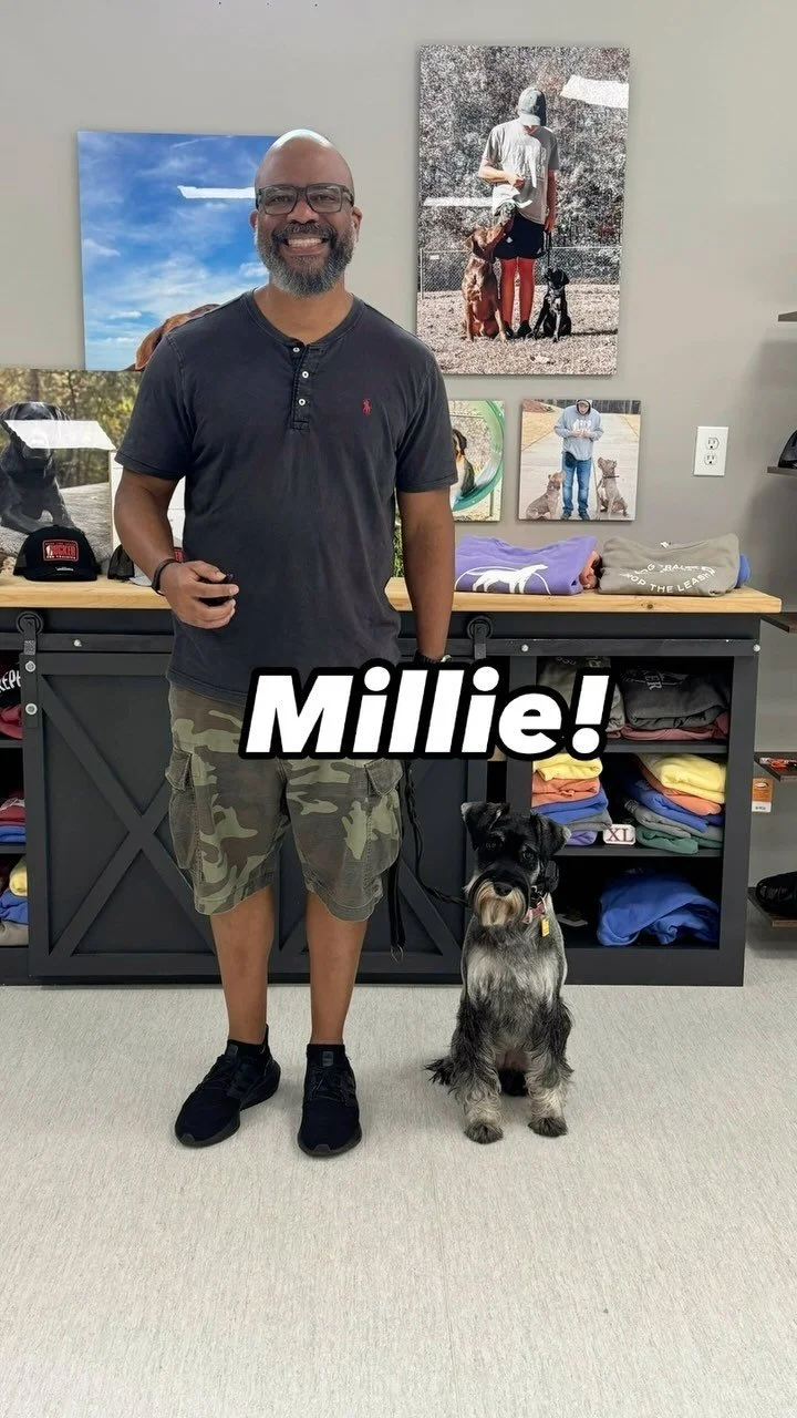 General Boarding — Rucker Dog Training