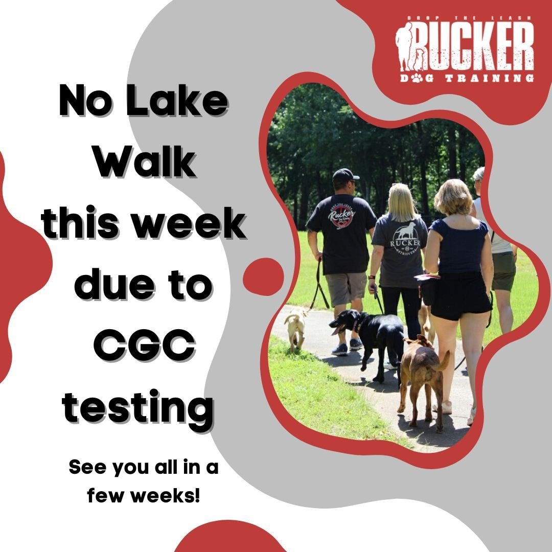 Schedule — Rucker Dog Training