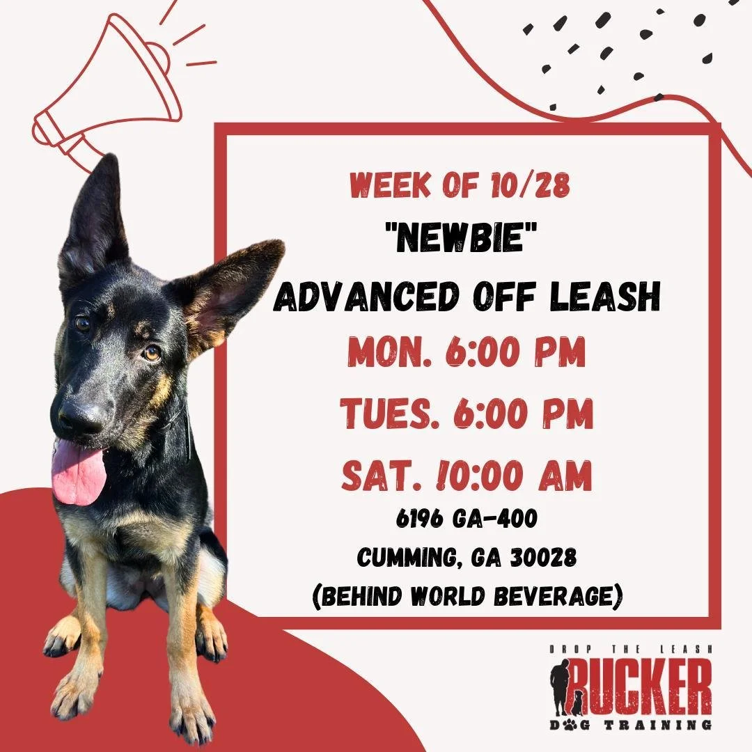 Schedule — Rucker Dog Training