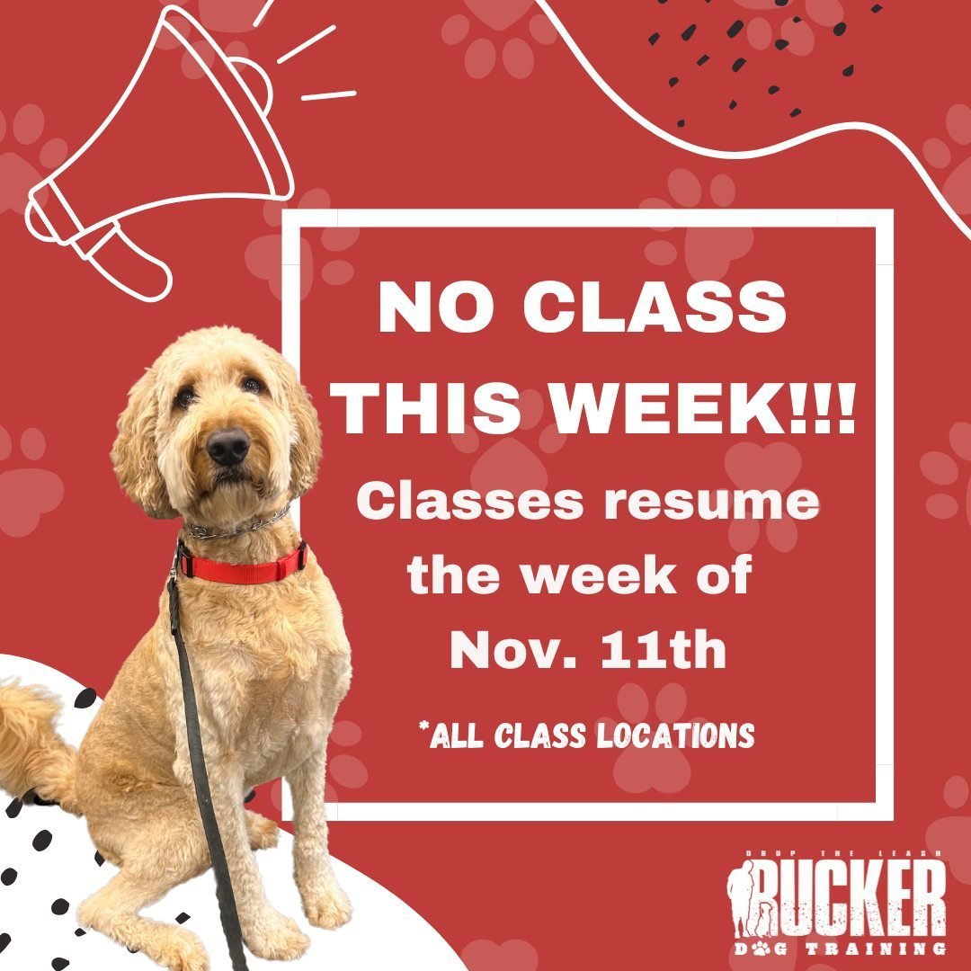 Book A Class — Rucker Dog Training