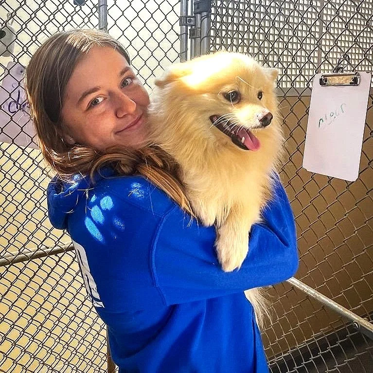 General Boarding — Rucker Dog Training