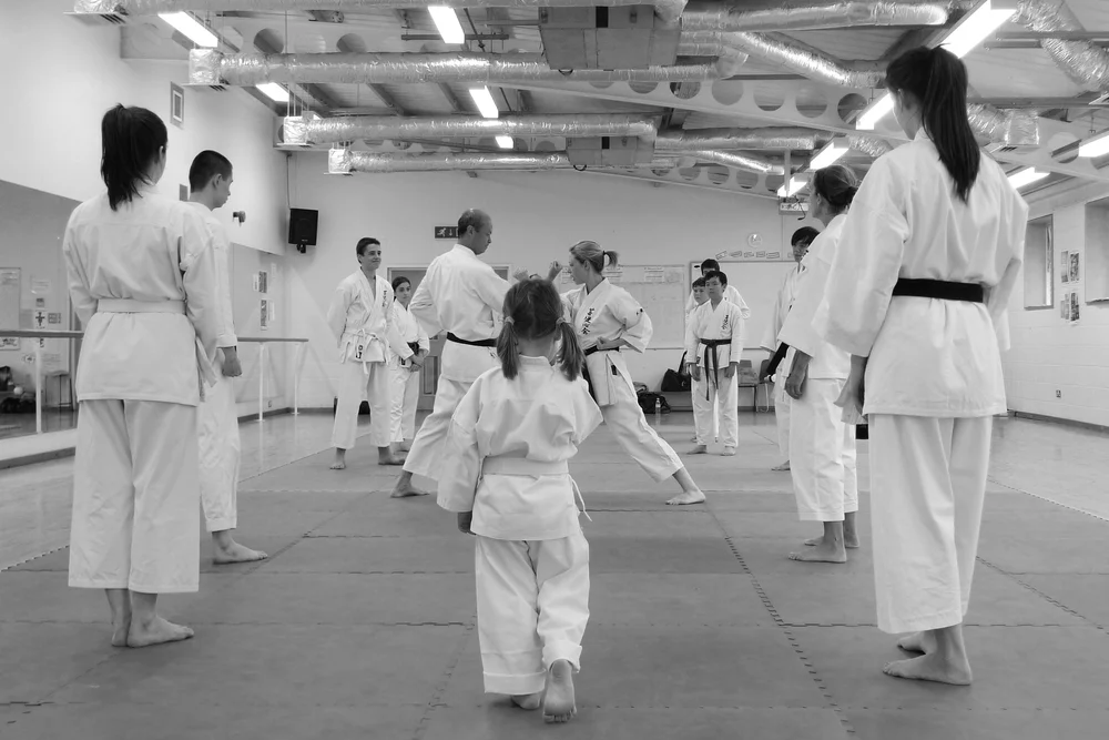 United English Karate Federation