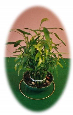 Rings of Oden — The Way To Balance