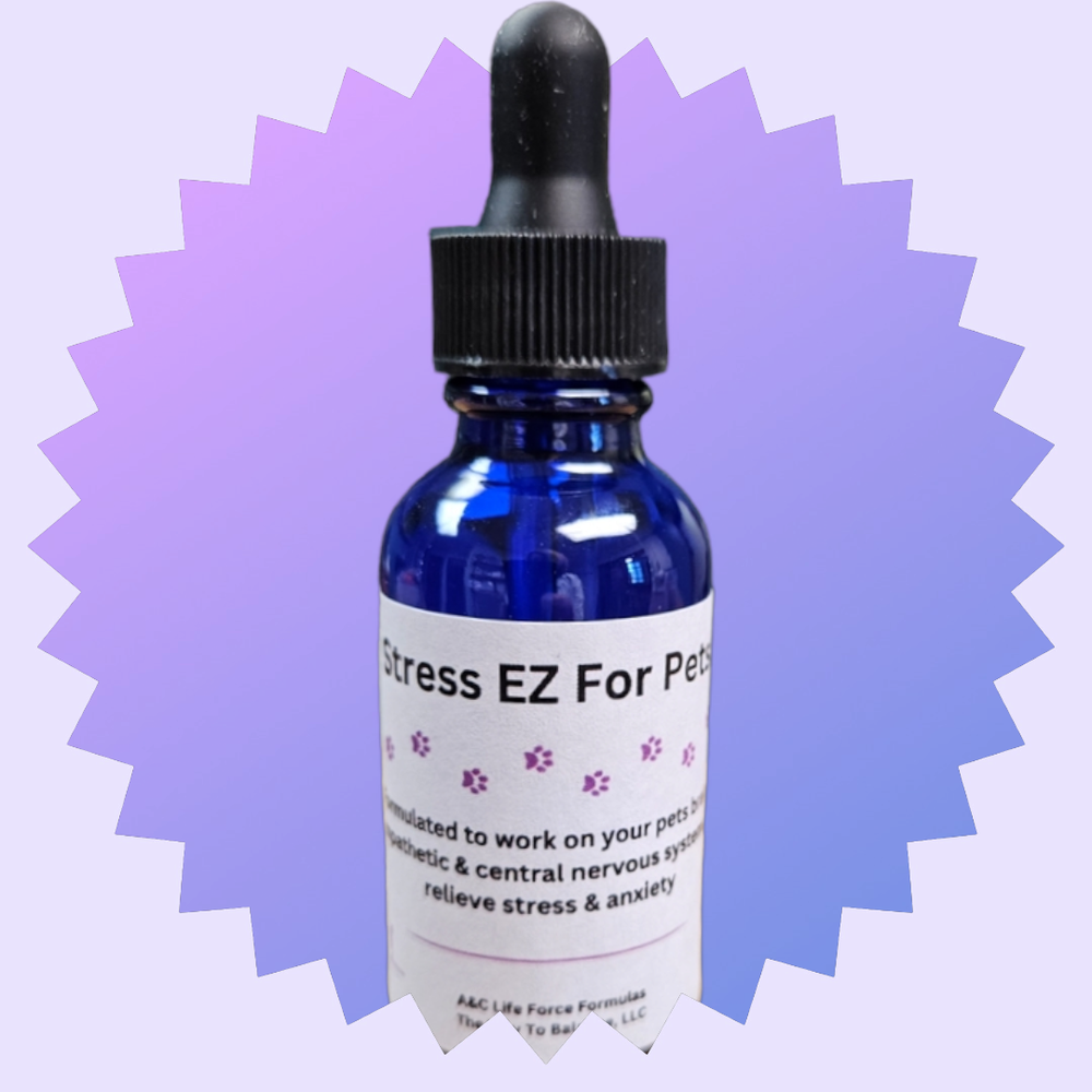 Store 2 — The Way To Balance