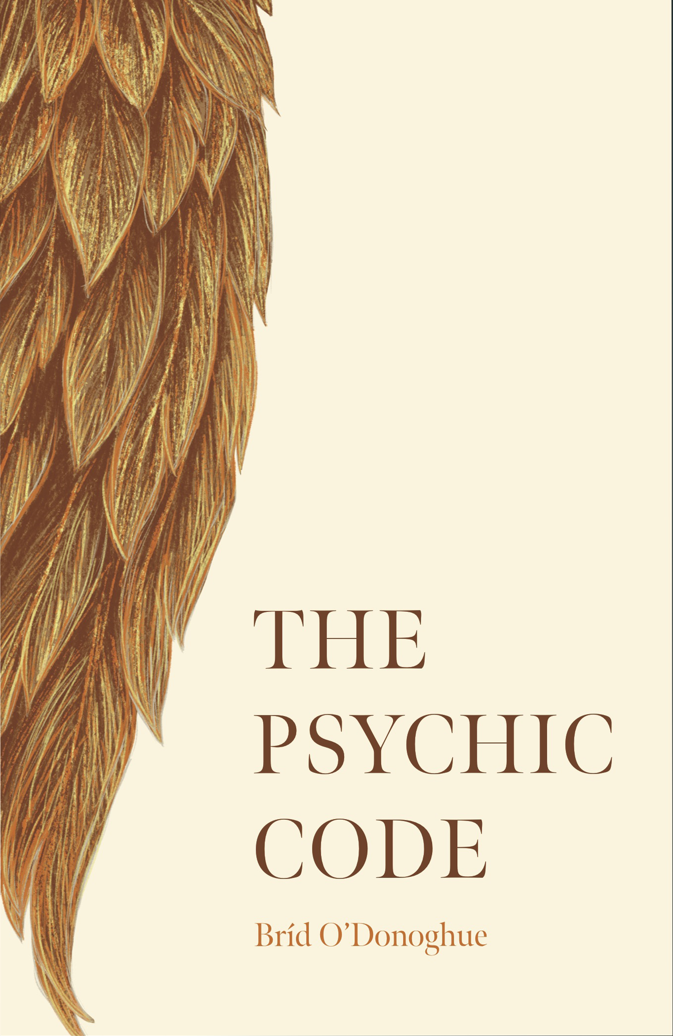 The Psychic Code - Brid O'Donoghue Spiritual Healer