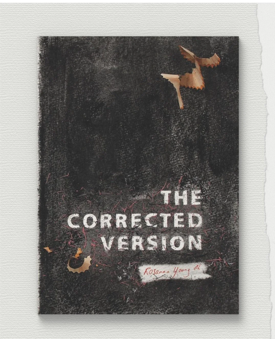 Projects — Pine State Publicity