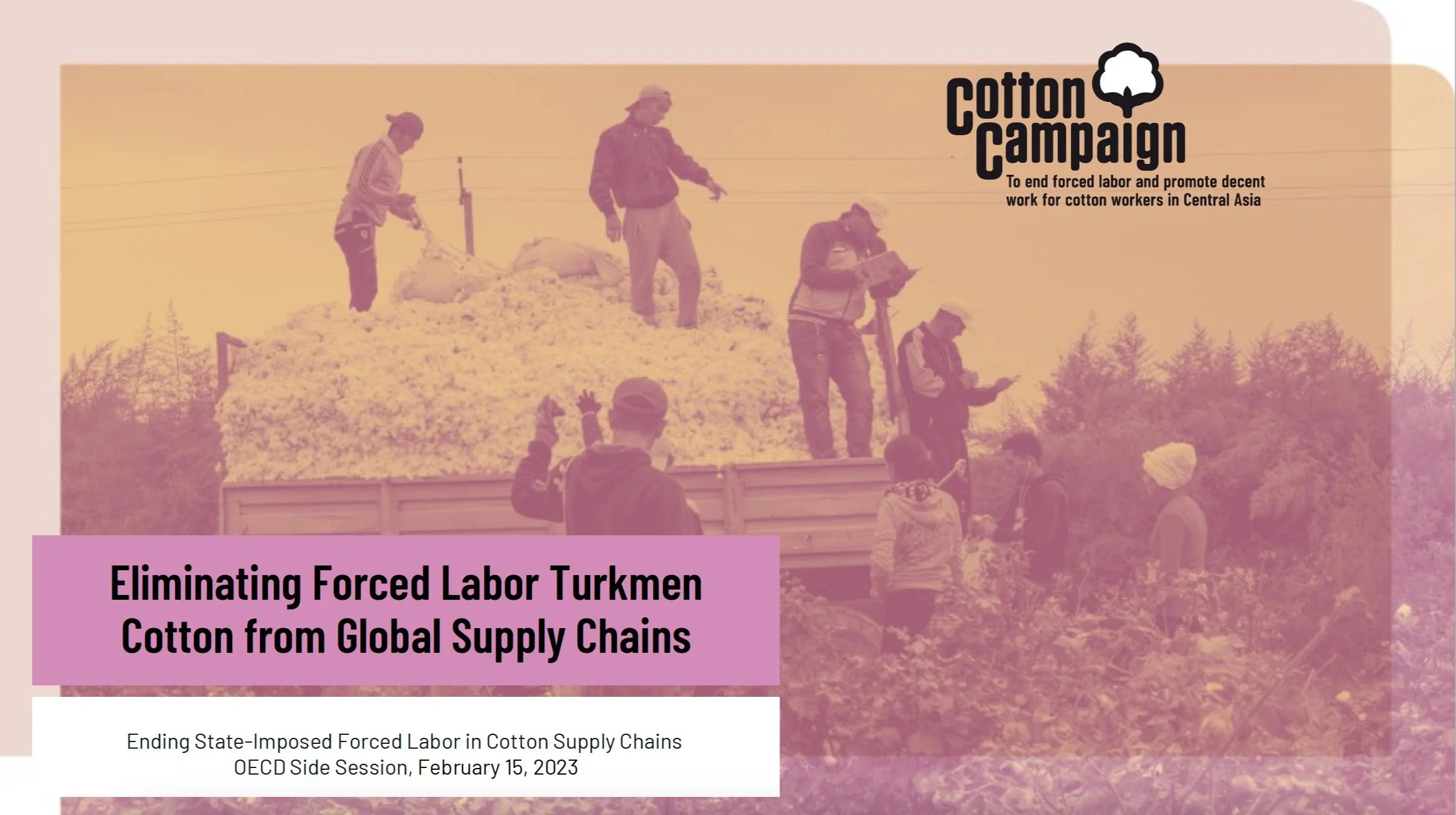 Ending State-Imposed Forced Labor in Cotton Supply Chains [OECD Side ...