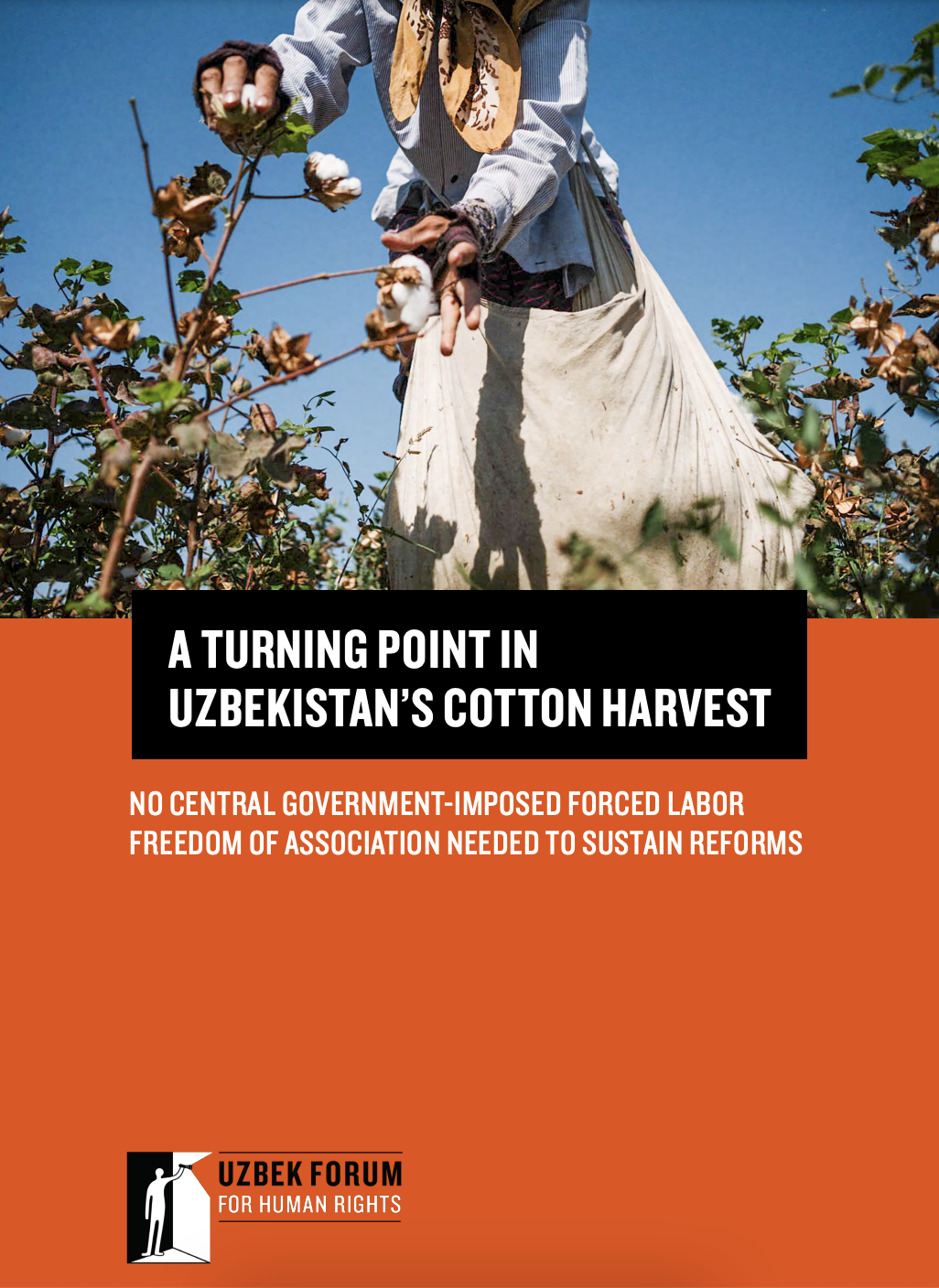 Uzbekistan — Cotton Campaign