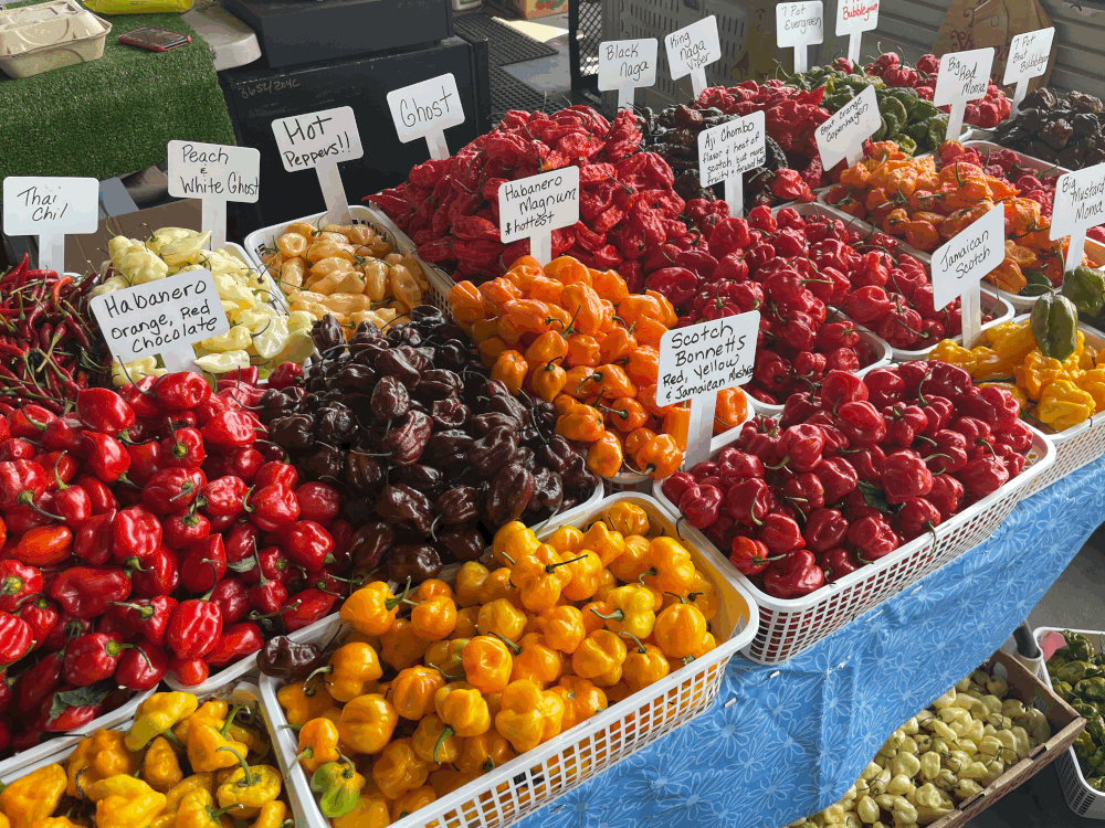 About Us — My Croft Kitchen