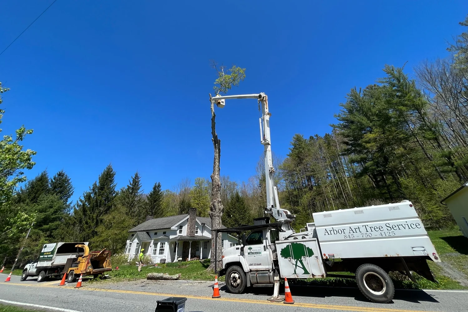 Arbor Art Tree Service