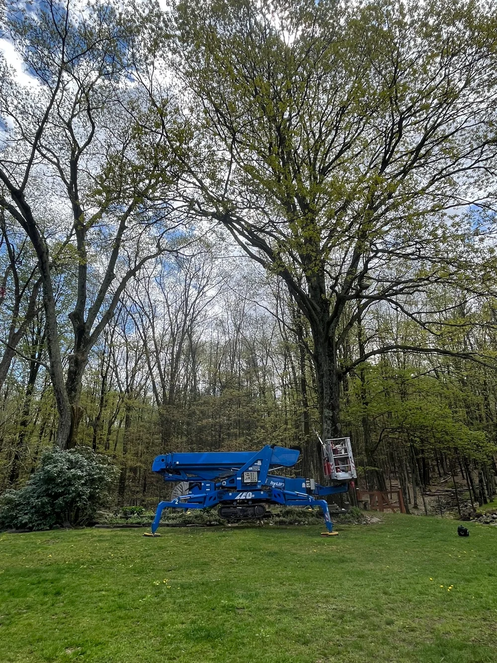 Arbor Art Tree Service