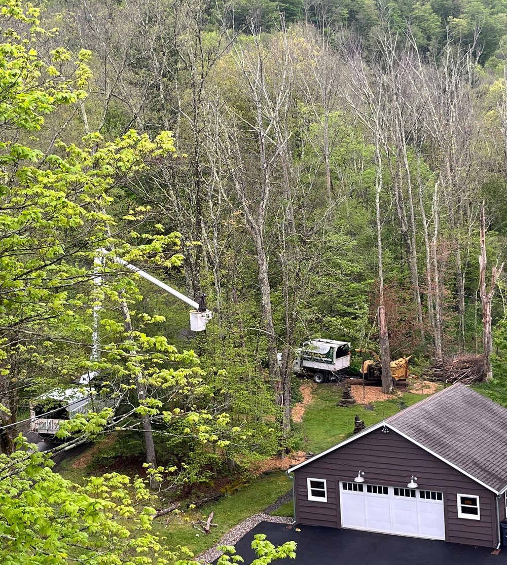 Arbor Art Tree Service