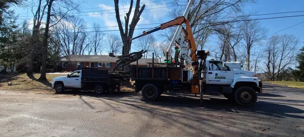 About — Arbor Art Tree Service